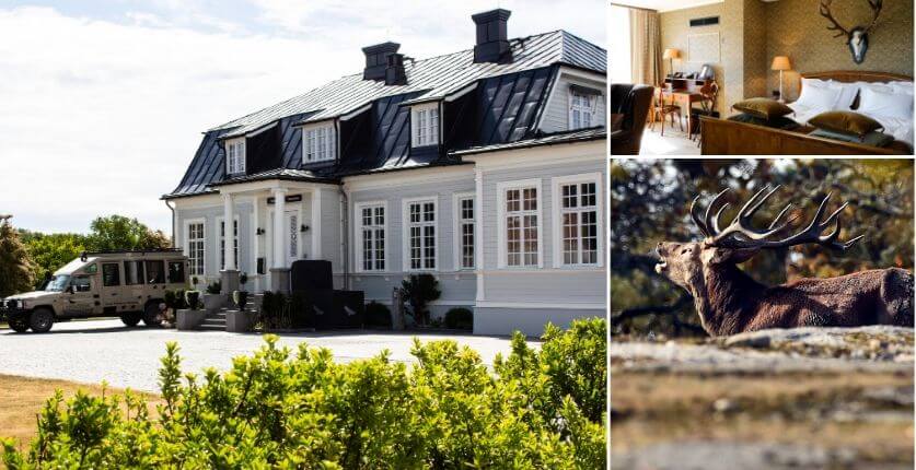 Eriksberg with game safari, gourmet food, nature reserve accommodation ...