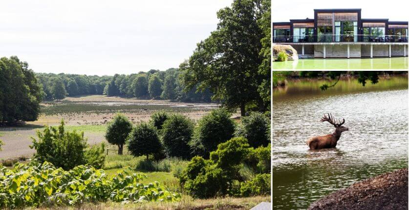 Eriksberg with game safari, gourmet food, nature reserve accommodation ...